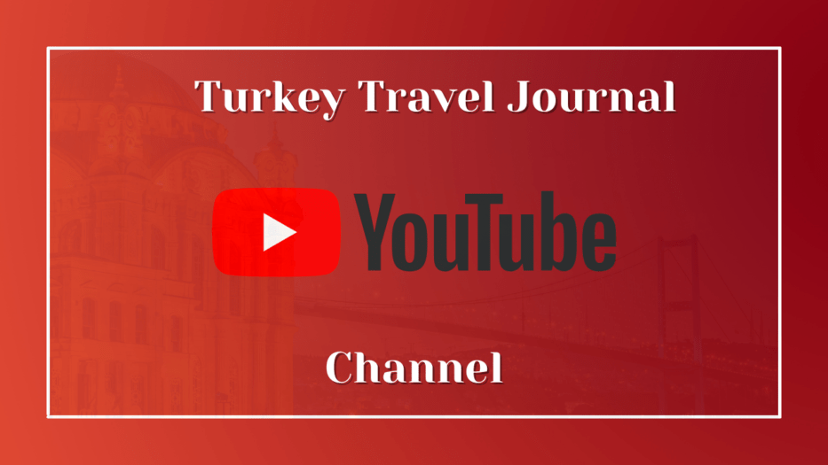 Entrance Form to Turkey - Register.Health.Gov.Tr - Errors Fixed 2021 ...